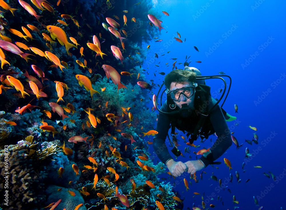 Diver swims through tropical fish on coral reef Stock Photo | Adobe Stock