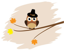 Thanksgiving Owl Free Stock Photo - Public Domain Pictures