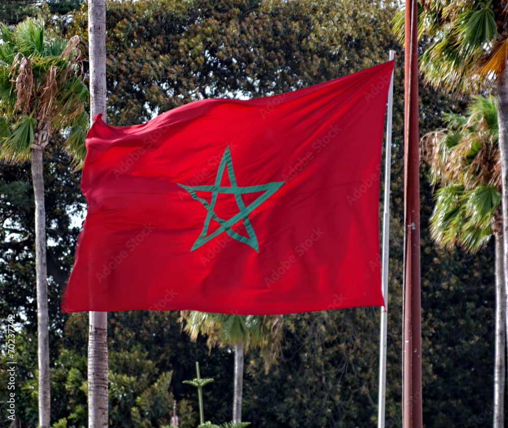 Drapeau du Maroc. Drapeau marocain. Stock Photo | Adobe Stock