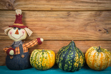Autumn Fall Scarecrow Free Stock Photo - Public Domain Pictures