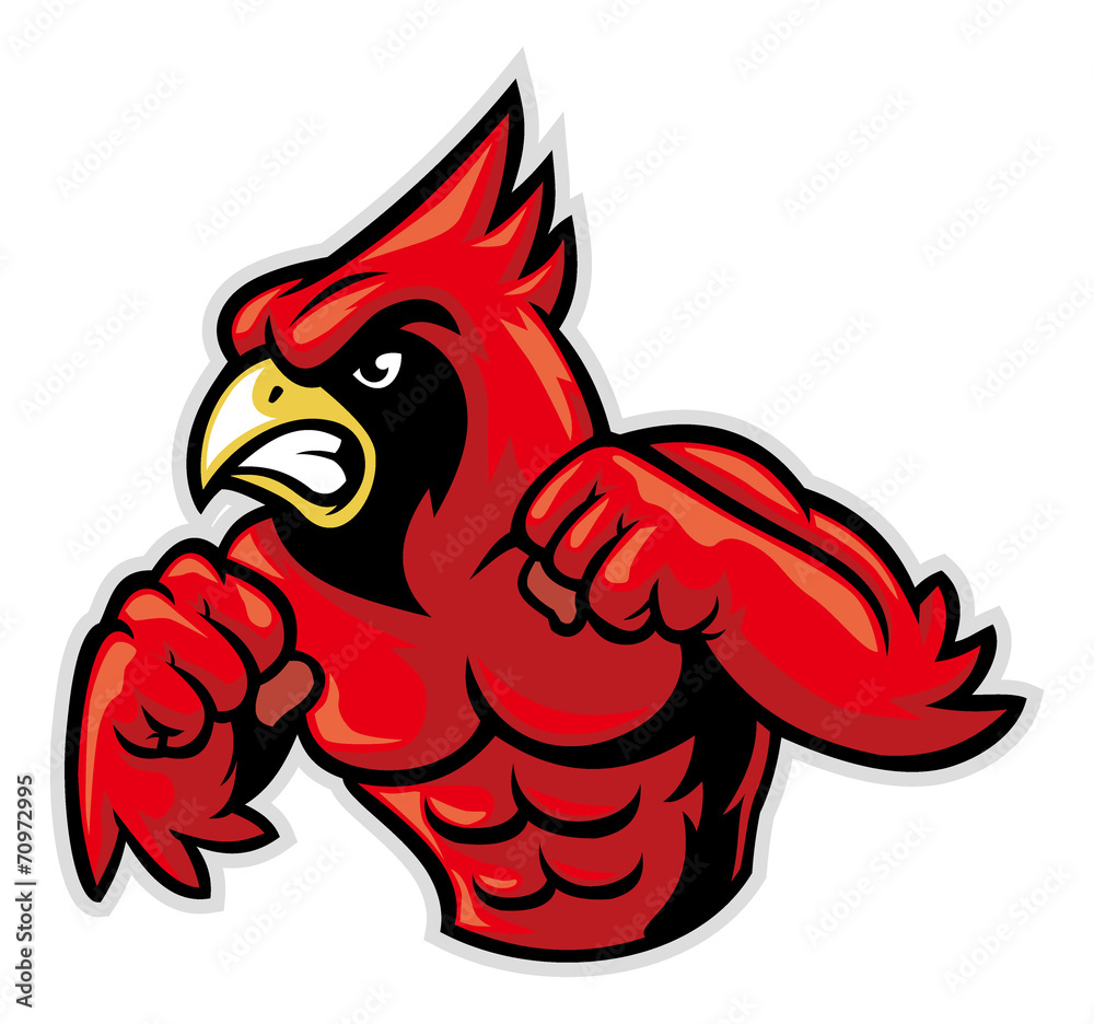 cardinal bird mascot show his muscle Stock Vector | Adobe Stock