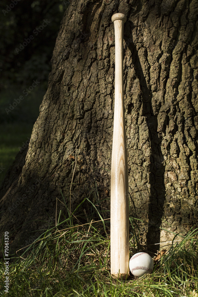 Baseball bat and ball leaning against a tree in the sunlight Stock ...