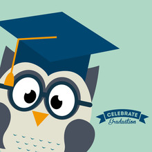 Congratulations Graduation Owl Free Stock Photo - Public Domain Pictures