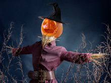 Creepy Jack-o-lantern Scarecrow Free Stock Photo - Public Domain Pictures
