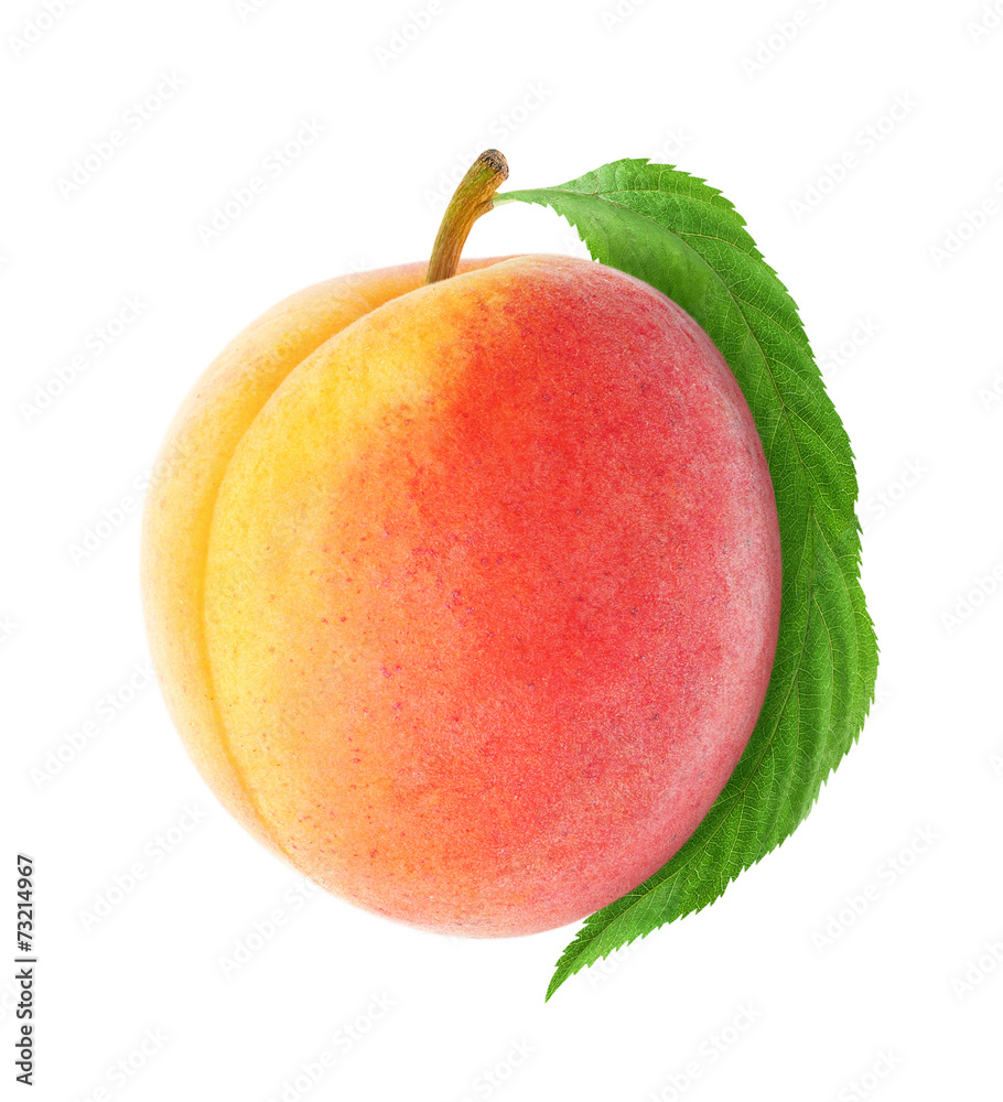 Isolated peach. One fresh peach fruit with leaf isolated on white ...