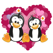 Penguin Valentine's Day Card Free Stock Photo - Public Domain Pictures