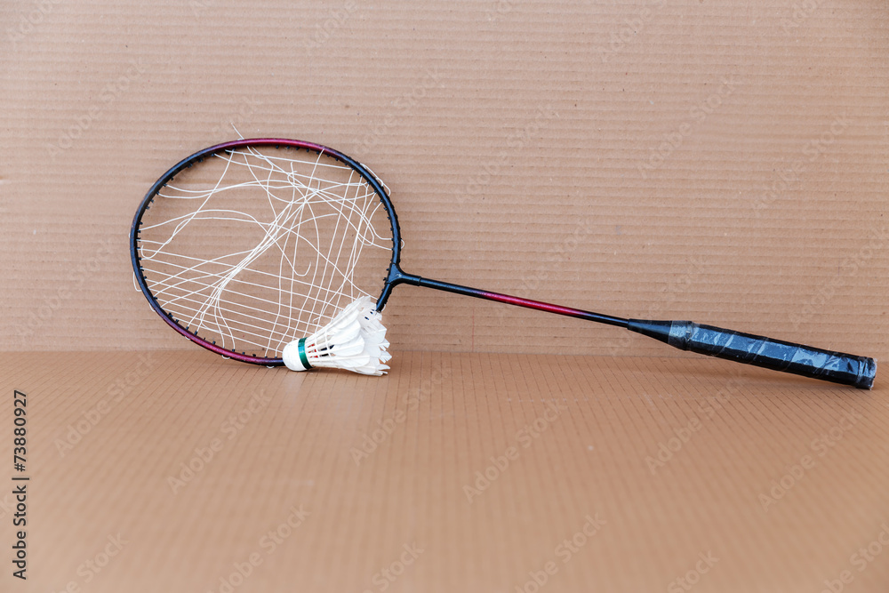 Shuttlecock and broken badminton racket Stock Photo | Adobe Stock