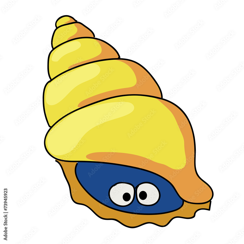 Cartoon shell colored Stock Illustration | Adobe Stock