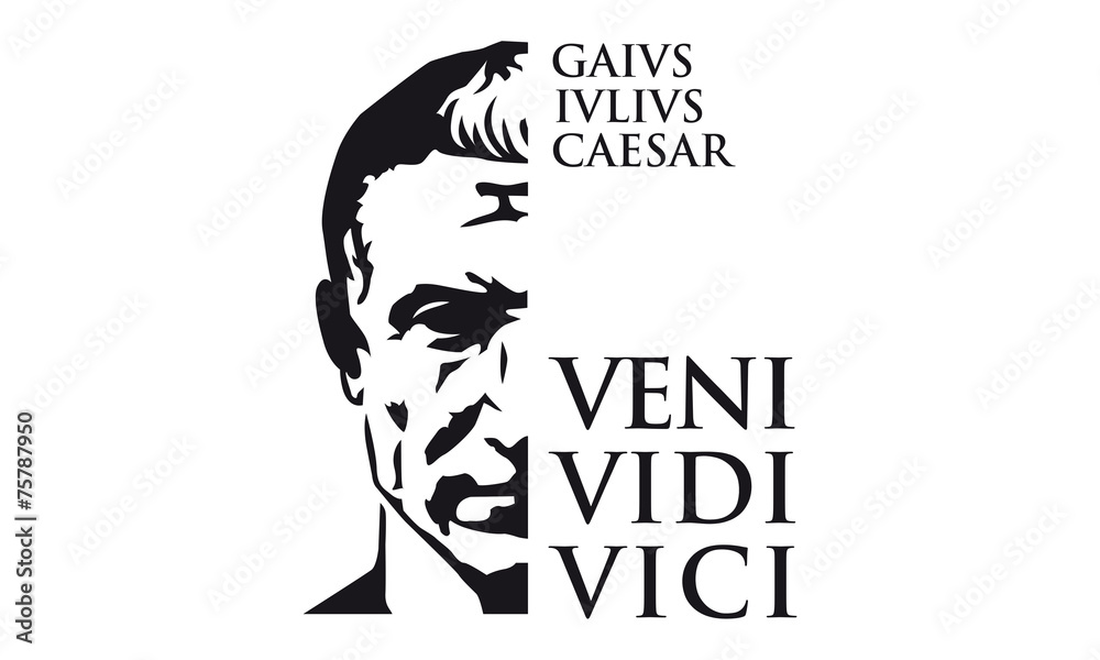 Emperador Julio Cesar. Retrato Estilizado de Julio César con su Famosa ...
