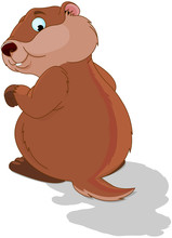 Groundhog Illustration Clipart Free Stock Photo - Public Domain Pictures