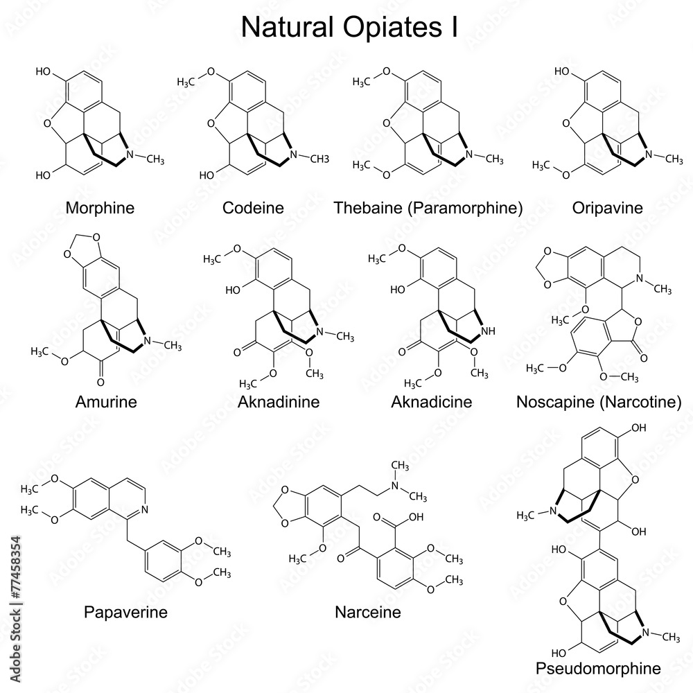 Structural formulas of main natural opiates Stock Vector | Adobe Stock
