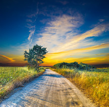 Dirt Path Free Stock Photo - Public Domain Pictures