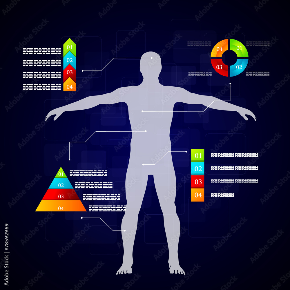 Infographics Human Body Anatomy Stock Vector | Adobe Stock