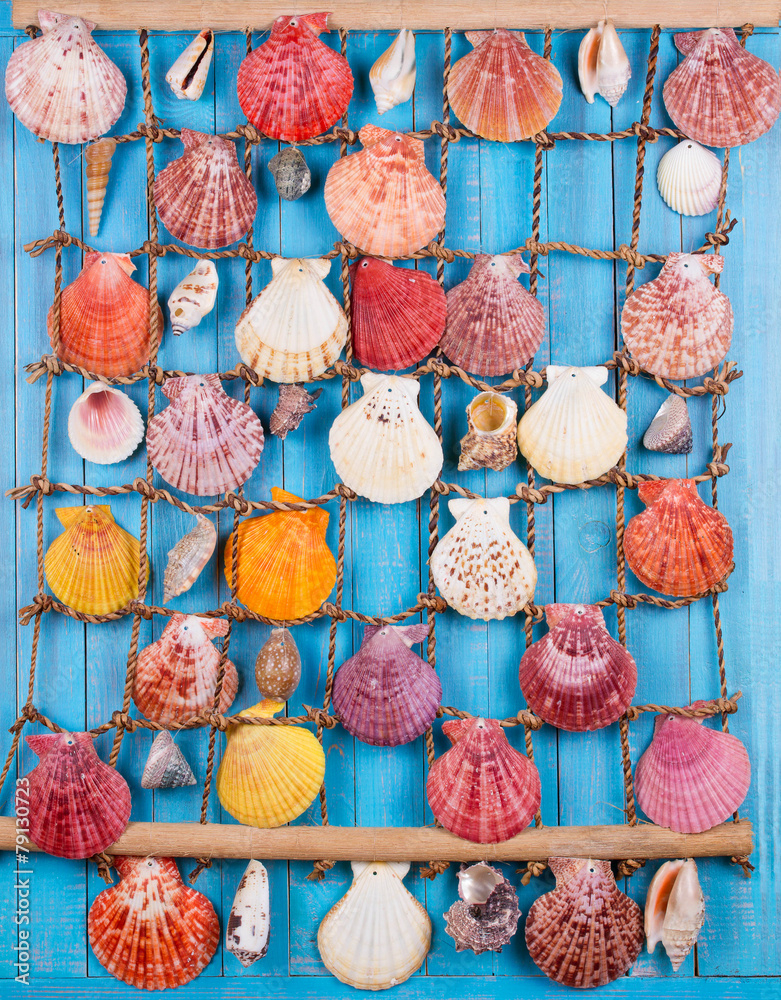 Sea shells. Tropical background. Seamless pattern for a design Stock ...