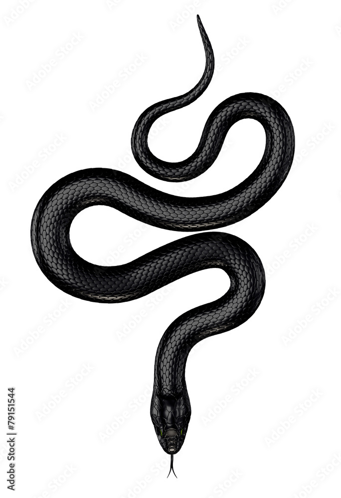 Black Snake isolated on White Background. 3D illustration Stock ...