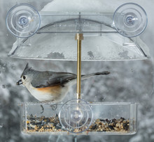 Tufted Titmouse On Feeder Free Stock Photo - Public Domain Pictures