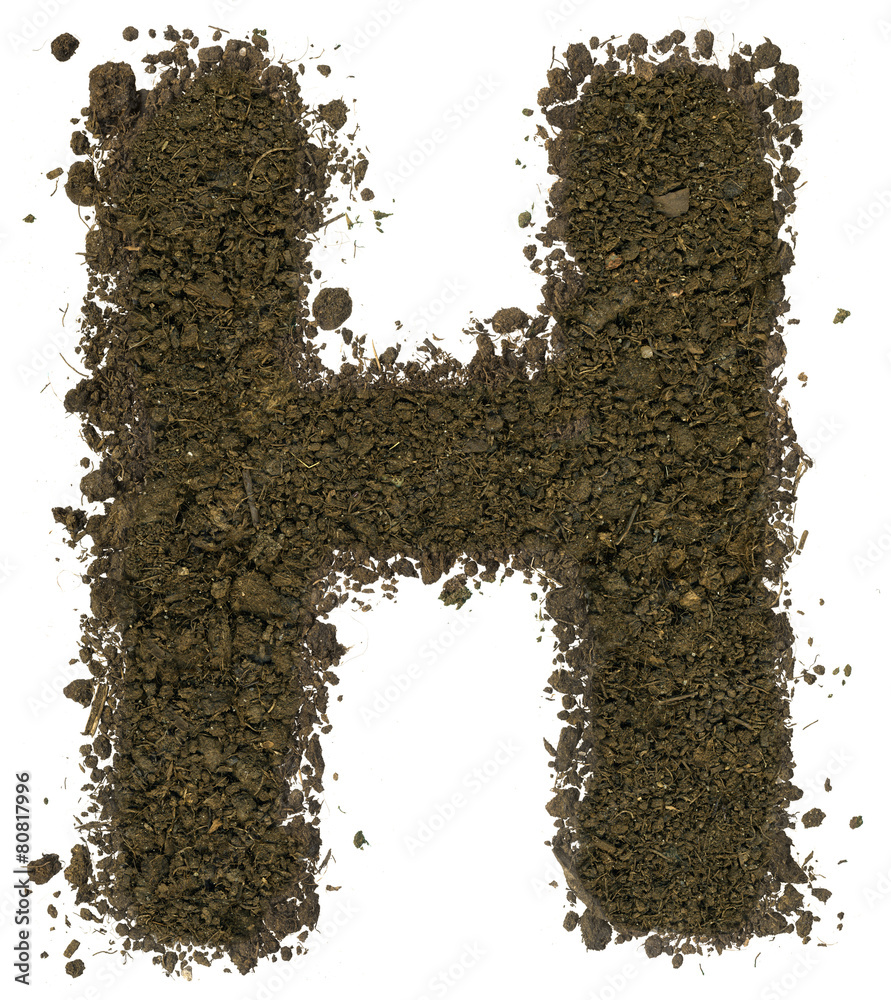 Alphabet of soil. Block capitals. Letter H Stock Photo | Adobe Stock
