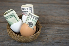 Egg Money Free Stock Photo - Public Domain Pictures