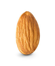 Single Almond Free Stock Photo - Public Domain Pictures