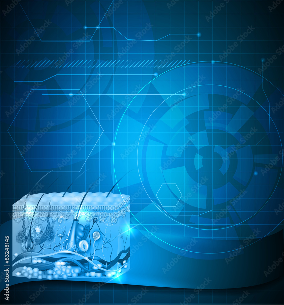 Skin anatomy abstract blue background Stock Vector | Adobe Stock