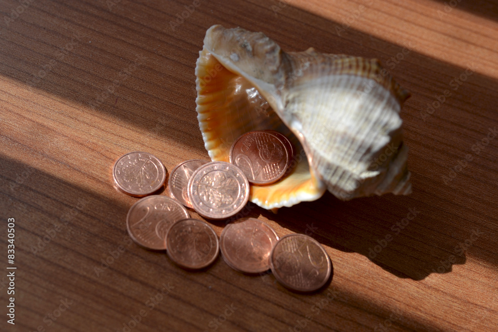 Money and shell Stock Photo | Adobe Stock
