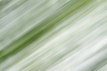 Green Shades Diagonal Line Pattern Free Stock Photo - Public Domain ...