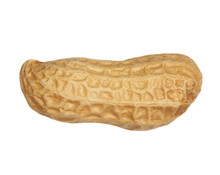Peanut Free Stock Photo - Public Domain Pictures