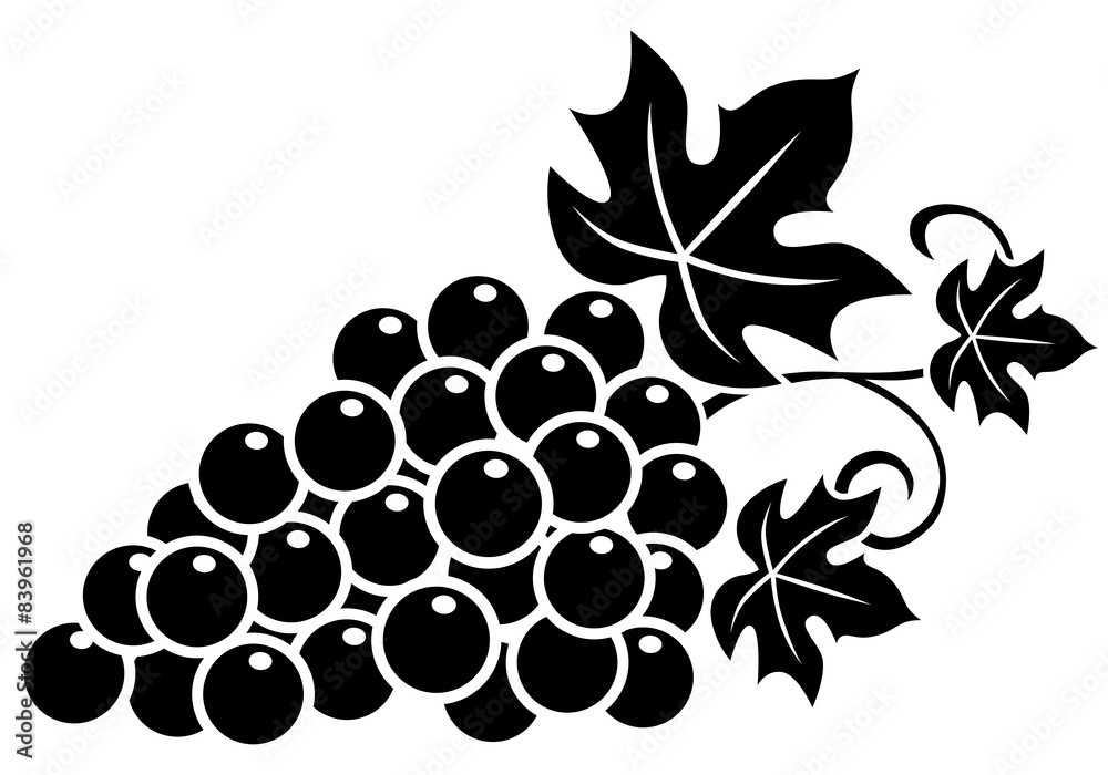 Weinrebe, Weintrauben, Icon, Schwarz-weiß, Vektor, Freigestellt - Stock ...