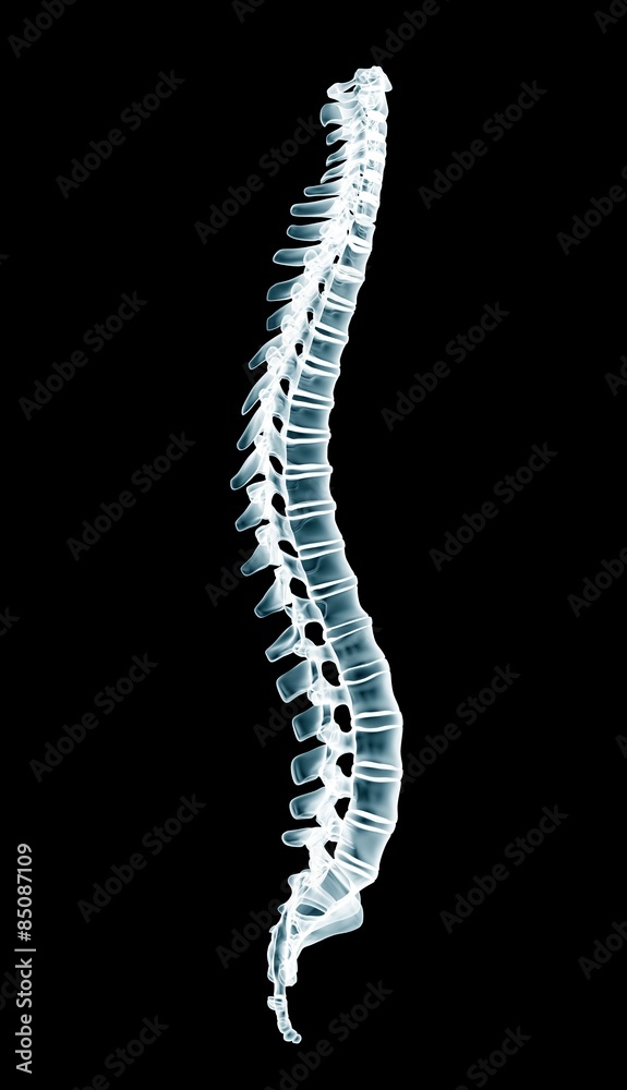 human spine isolated on a black background xray Stock Illustration ...