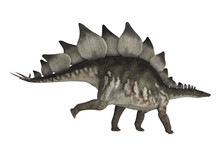 Running Stegosaurus Free Stock Photo - Public Domain Pictures