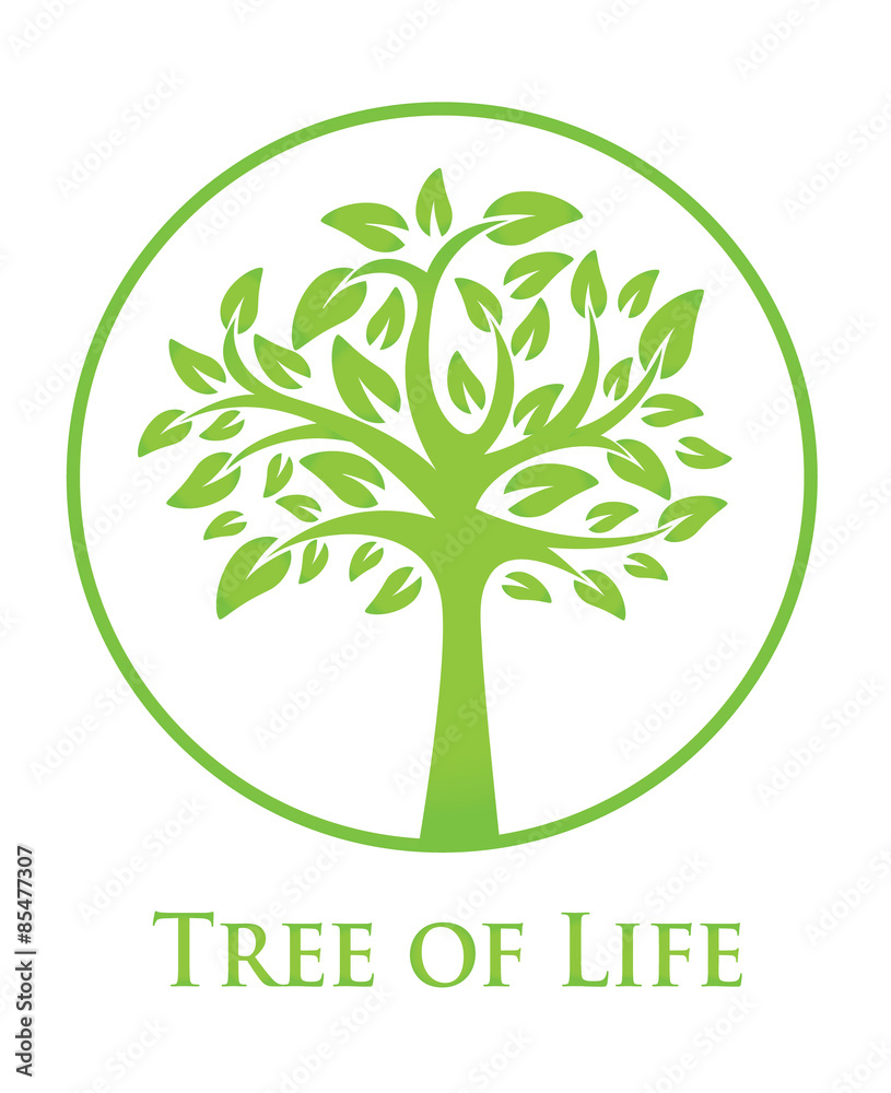 symbol of the tree of life Stock Vector | Adobe Stock