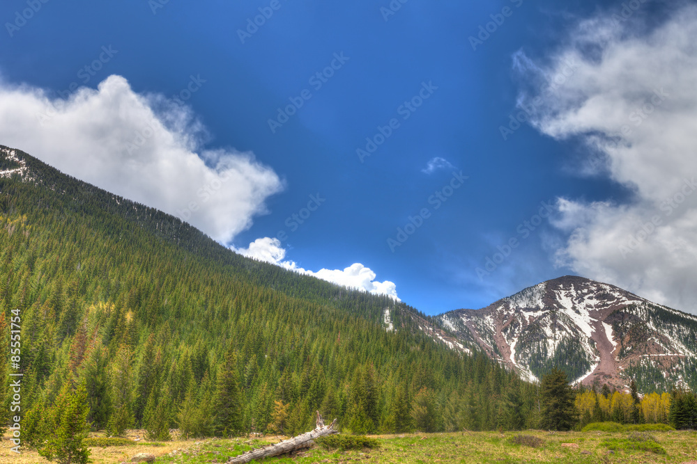 AZ- Coconino National Forest-Inner Basin Trail-north of Flagstaff Stock ...