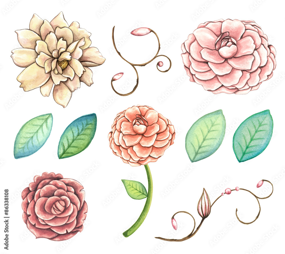 Watercolor flowers clip art set. Floral collection with roses, peonies ...