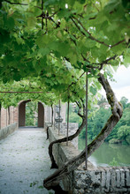 Vintage French Alley Free Stock Photo - Public Domain Pictures