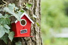 Spring Birdhouse Free Stock Photo - Public Domain Pictures