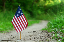 American Flag In Forest Free Stock Photo - Public Domain Pictures