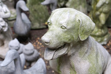 Dog, Stone Statue Free Stock Photo - Public Domain Pictures