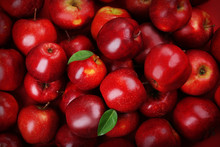 Red Apples Free Stock Photo - Public Domain Pictures