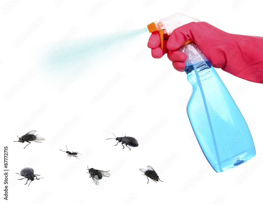 Plastic sprayer with insecticide and stinging insect isolated on white ...
