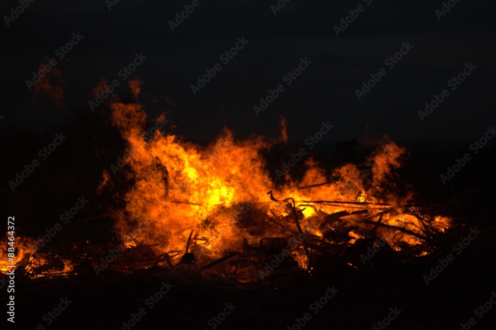 Twigs burning at park in thailand disaster in bush forest with fire ...