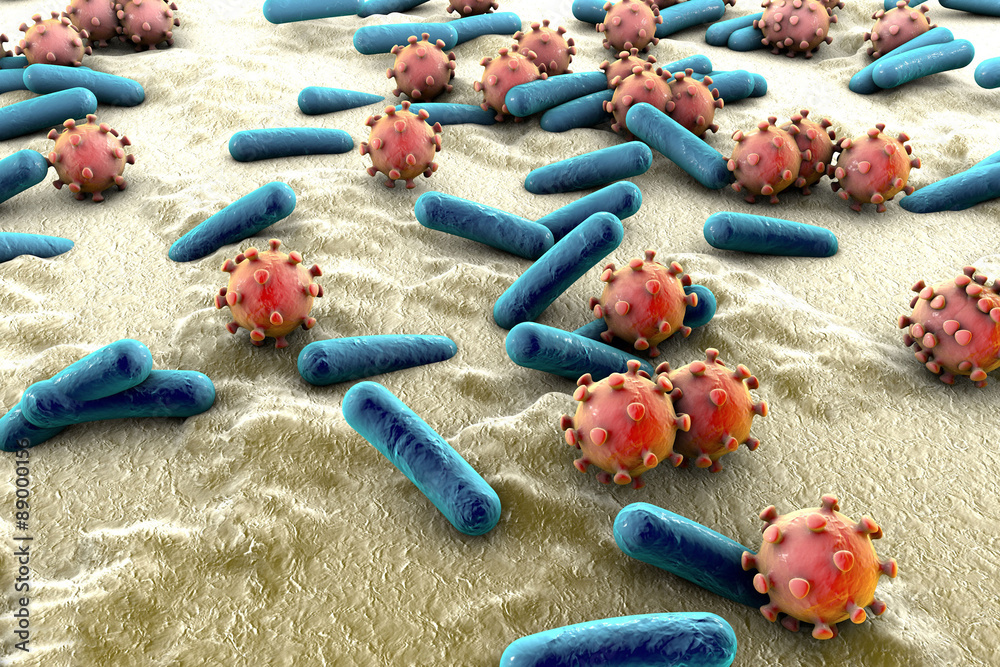 Bacteria and viruses on surface of skin, mucous membrane or intestine ...