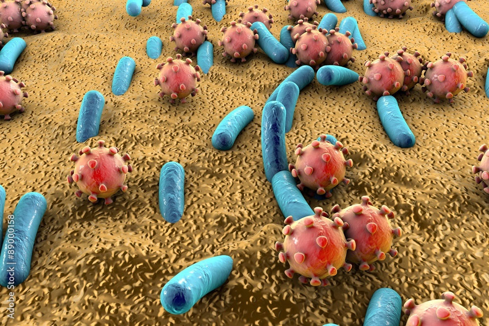 Bacteria and viruses on surface of skin, mucous membrane or intestine ...