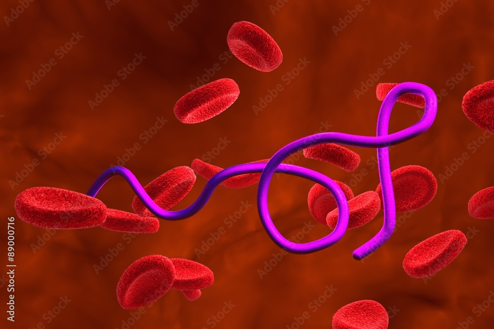 Ilustración de Stock Three-dimensional drawing of Borrelia bacteria in ...