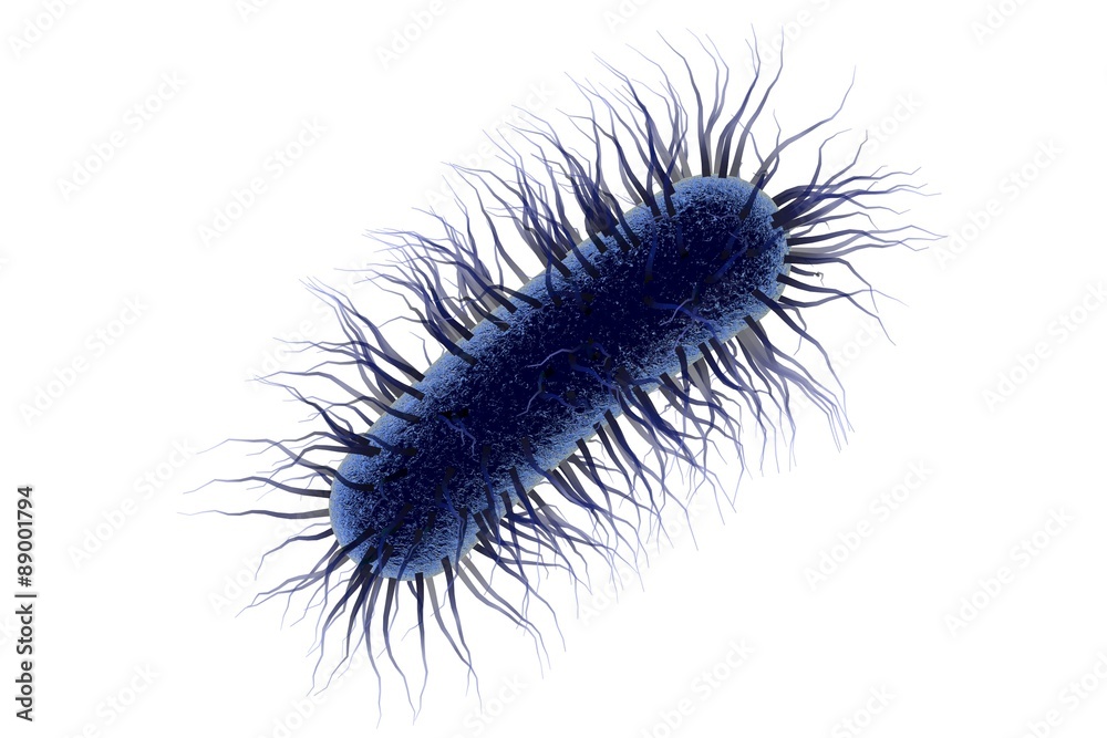 Illustration Stock Microscopic view of Escherichia coli, Salmonella ...