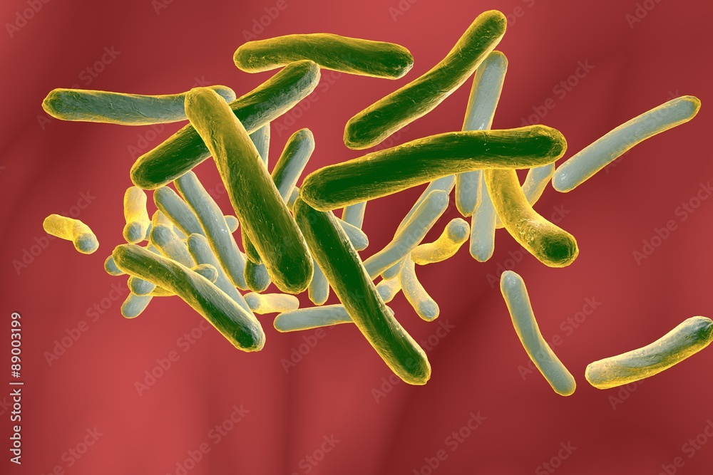 Microscopic view of Mycobacterium tuberculosis, model of bacteria ...
