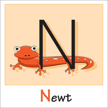 N Is For Newt ABC 1923 Free Stock Photo - Public Domain Pictures