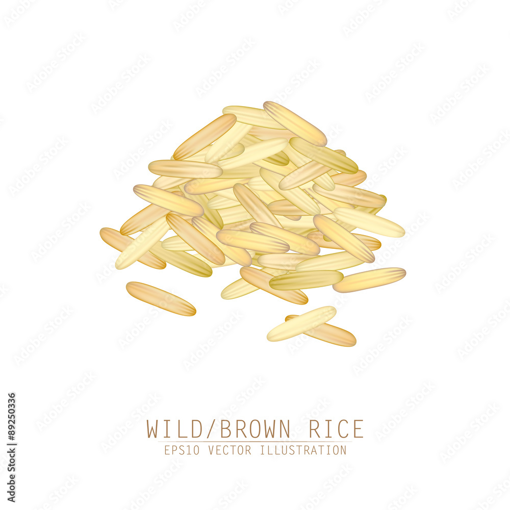 Vector illustration of wild or brown rice pile. Asian traditiona Stock ...