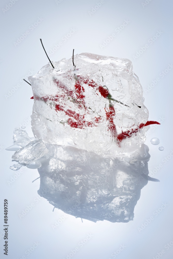 Stock-Foto „Chilli peppers in a block of ice“ | Adobe Stock