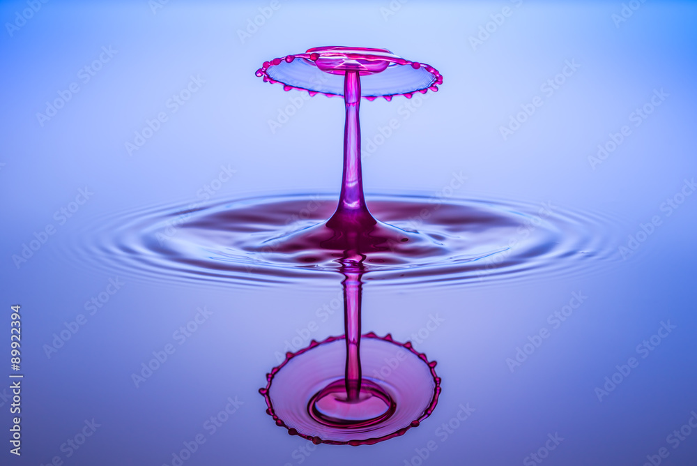 Stock-Foto „Wassertropfen, Tropfen, Rot, Blau“ | Adobe Stock