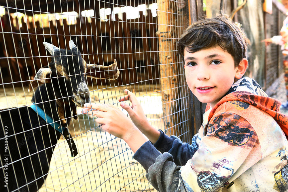 preteen handsome boy touch goat in the zoo Stock Photo | Adobe Stock